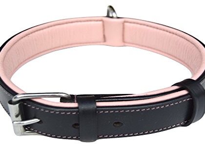Home - Soft Touch Collars